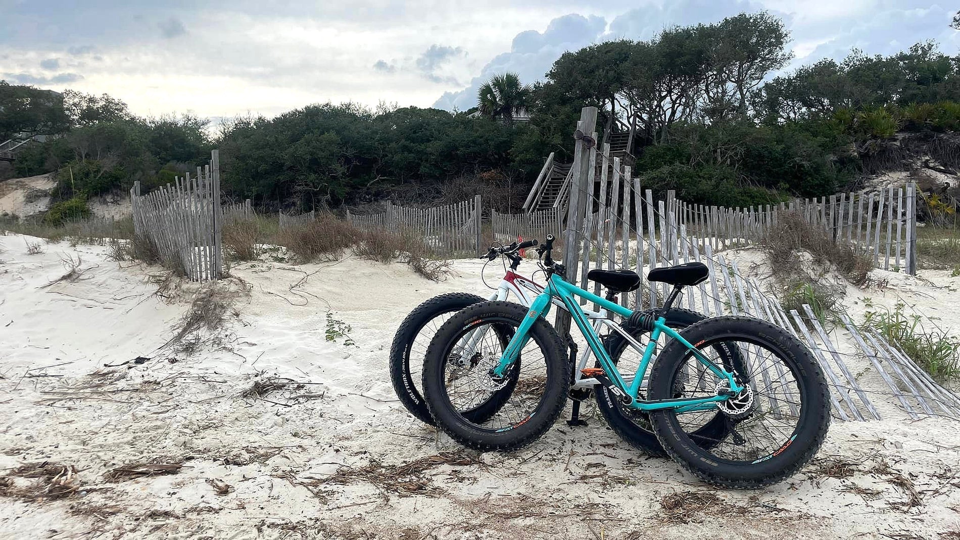 Bike-hook's Best Beach Bike Rides for Campervan Travelers | Bike-Hook